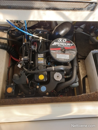 Quicksilver 520 Sport Motor boat 2008 Turku - Nettivene