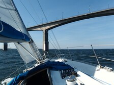 Diva boats for sale - Nettivene