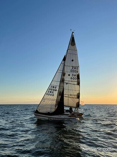 Inferno Inferno 29 Sailing boat 1984 - Nettivene