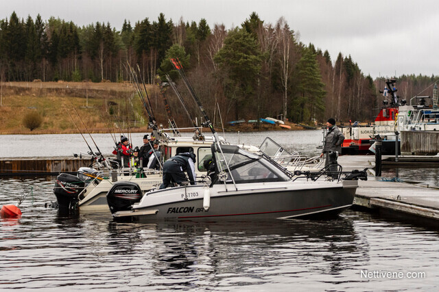 Falcon BR5 Special Edition / 80 hv Motor boat 2019 Tampere - Nettivene