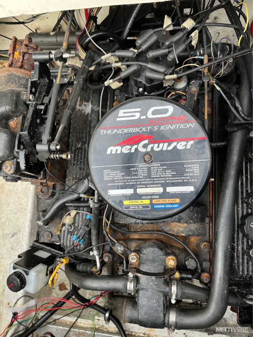 MerCruiser Mercruiser 5.0 V8 230hp Moottori 2020 Espoo - Nettivene