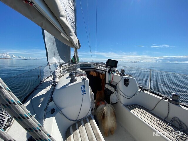 X-Yachts X-302 Purjevene 1998 Helsinki - Nettivene