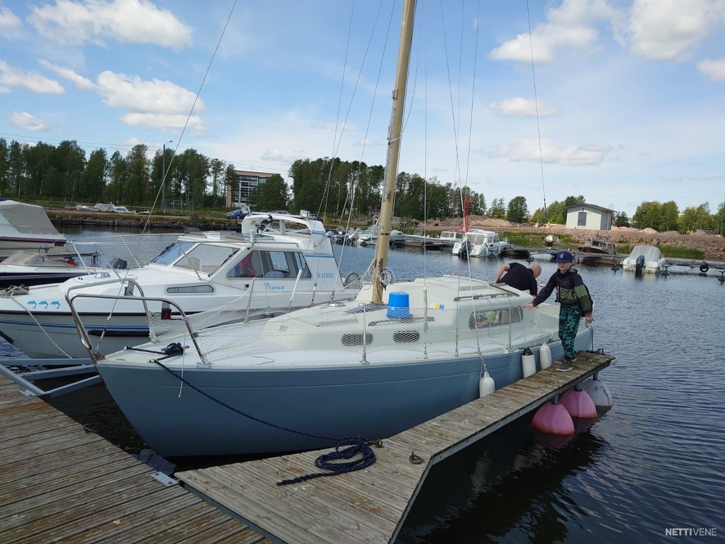 Albin Vega Purjevene 1972 Hamina - Nettivene