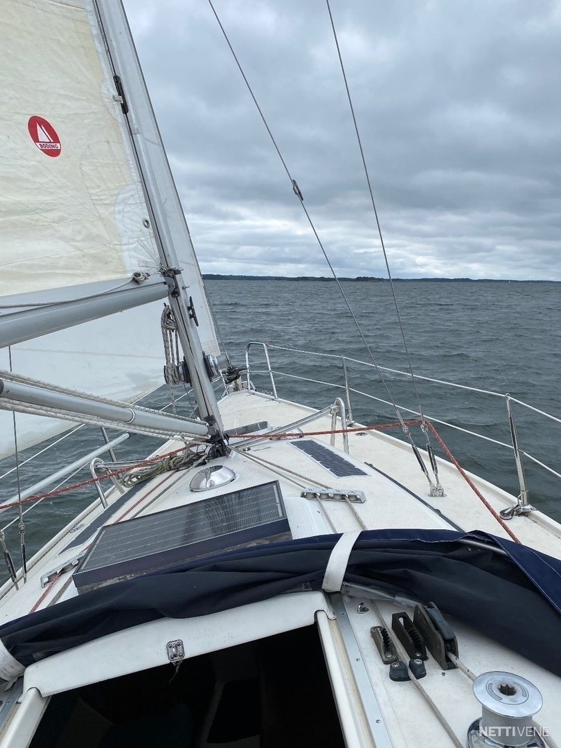 Maxi Fenix Classic Purjevene 1981 Raasepori - Nettivene