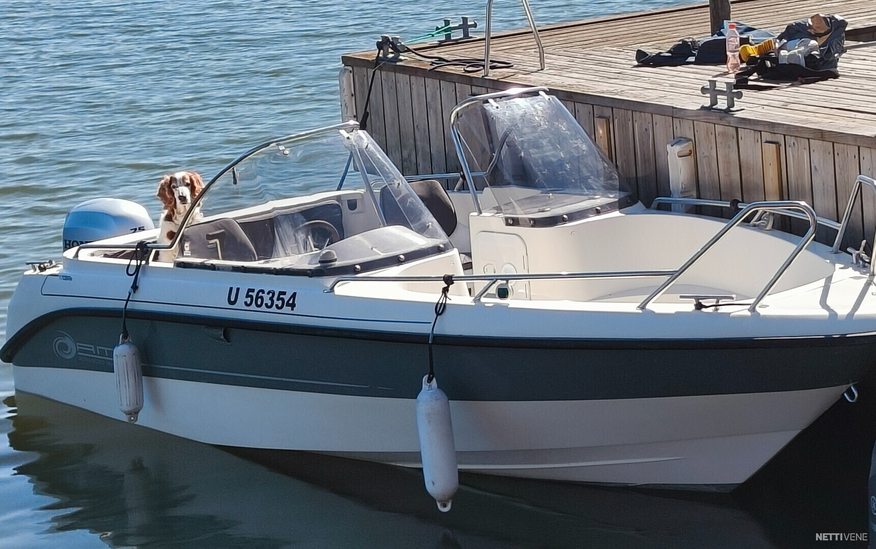 AMT 170 BR Motor boat 2012 Inkoo - Nettivene