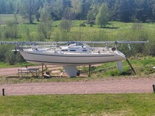 Diva boats for sale - Nettivene